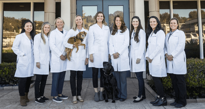 Roles at The Drake Center | The Drake Center For Veterinary Care